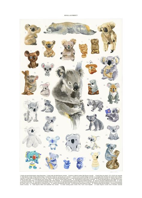Koala As Object Taxonomy Chart Deb Mostert