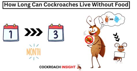What Eats Cockroaches Meet The Natural Predators