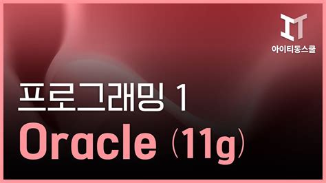 Oracle 11g 프로그래밍 1 Youtube