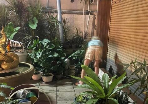 태국 유명 관광지 식당에 대변 테러…식당 주인 공중화장실 좀 만들어주세요