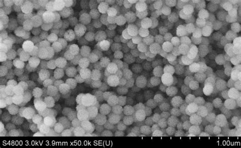 银包覆二氧化硅复合微球粒子ag Sio2 Nps介孔二氧化硅包裹超顺磁性fe3o4纳米颗粒应用研究 知乎