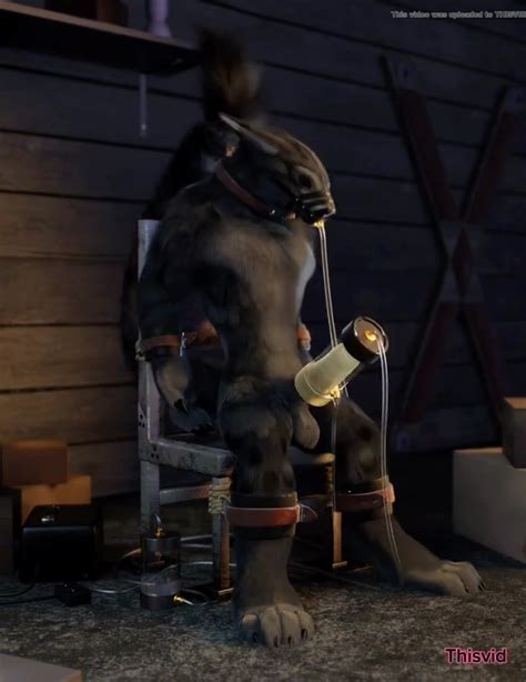 Experience Milking Machine ThisVid