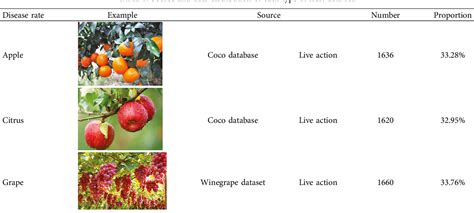 Figure 1 From Fruit Target Detection Based On Bco Yolov5 Model Semantic Scholar