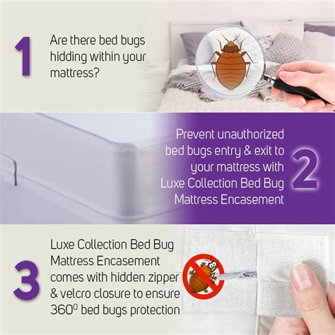 How To Wash Bed Bug Protector At Pamela Walsh Blog