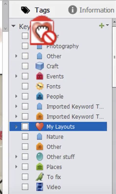 manage keyword tags in photoshop elements organizer 2018
