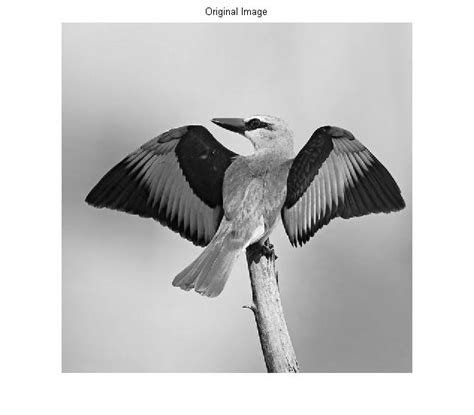 Programixs Program For Bit Plane Slicing Of Image Using Matlab