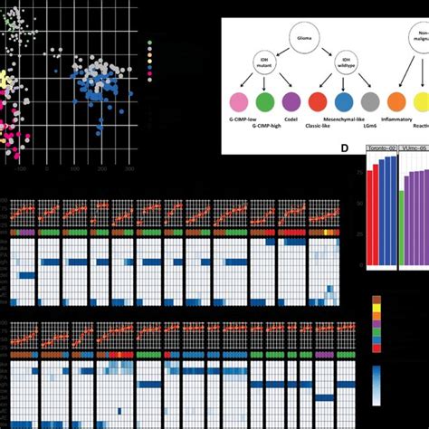 Exploration Of Spatial Distribution Of Dna Methylation Based Subtypes Download Scientific