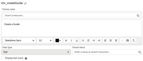Visual Workflow Lightning Flow Builder Decision On Radio Button
