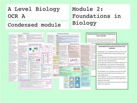 A Level Biology Ocr A Module 2 Summary Teaching Resources