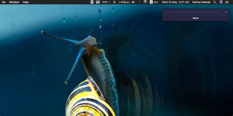 How To Mute The Mic From The Keyboard Or Touch Bar On MacOS