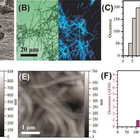 A Sem Image Of Aligned Carbon Nanofibers B Combined Download