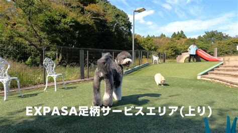 Expasa足柄サービスエリア 上り のドッグラン！ Youtube