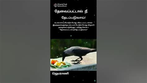 தேவைக்கு தாண் நீ தேடப்படுவாய் Youtube