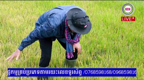 ឯកឧត្តម សួន សុម៉ាលីន អភិបាលនៃគណៈអភិបាលខេត្ត ព្រៃវែង បានអញ្ជើញចុះជួបជាមួយបងប្អូនប្រជាកសិករ