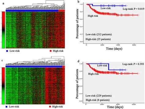 Unsupervised Hierarchical Clustering Of Genes In Two Modules And The Download Scientific