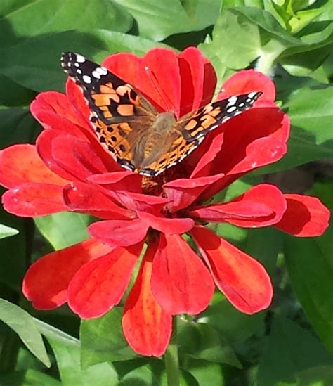 Update On Mccns Future Mc Usa Climate Justice Ministrymc Usa Climate Justice Ministry