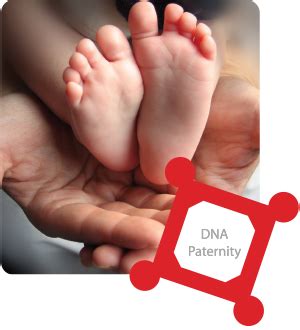 DNA Lab Services In Selangor Malaysia Healthcare Screening In Kuala Lumpur KL Pregnancy