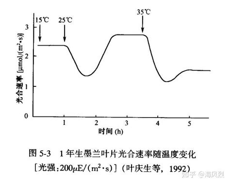光照控制在兰花养护中有多重要 知乎