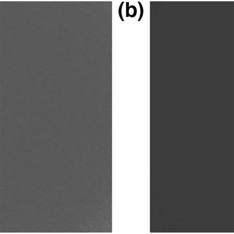 A The Extracted Sensor Pattern Noise Of A Nikon Coolpix L23 Device Is