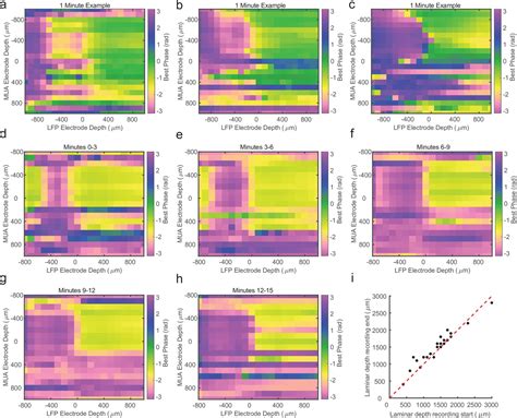 Figures And Data In Spike Phase Coupling Patterns Reveal Laminar