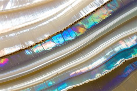 Data Lifecycle Management Microsoft Data Lifecycle Management