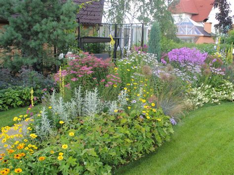 Флоксы в дизайне сада возможности использования