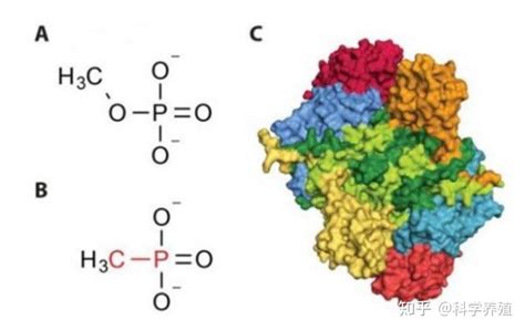 原料供应丨相比于噬菌体活体，噬菌体裂解酶有哪些独特的优势？ 知乎