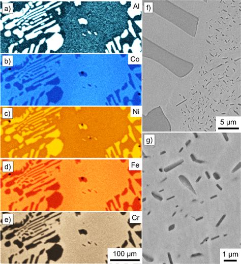 Microstructure Of The Alloy Immediately Before Deformation At 1100 °c Download Scientific