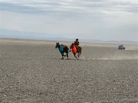 Б Төгөлдөр 6 Зургаа Б Түвдэнбямбын Ягаан даага Эцэг тал ААУ П Уртнасангийн унаган хээр