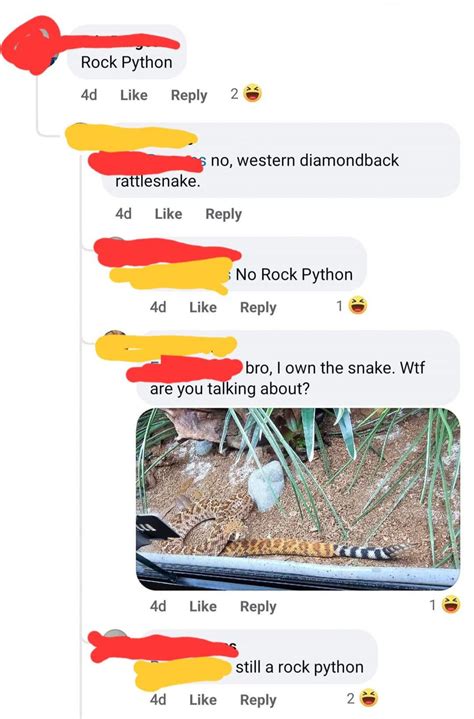 Best Rock Python Posts Reddit