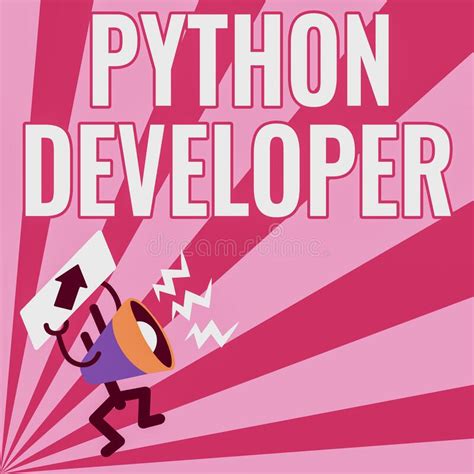 Conceptual Display Python Developer Business Overview Responsible For