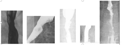 Deformable Convnets V2 Pytorch版源码讲解13d Deformable Conv 代码pytorch Csdn博客