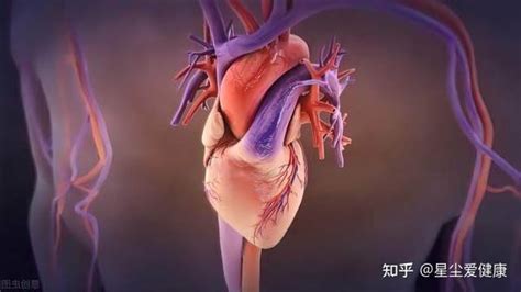 心脏神经官能症的症状，可分为这四大类 知乎