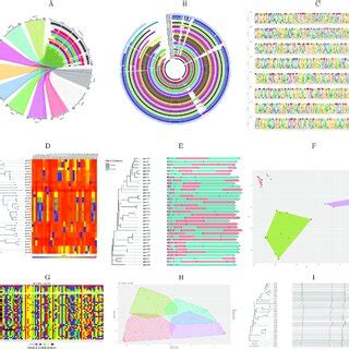 Some Sequence Alignment Statistics Visualization Were Generated Using Download Scientific