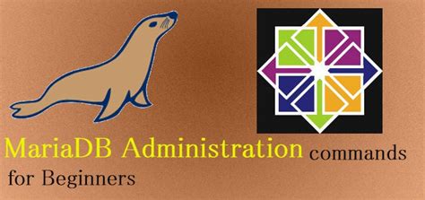 Mariadb Administration Commands For Beginners By Linuxtechlab Medium
