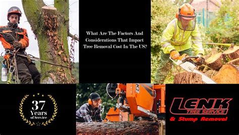 Tree Removal Cost What Are The Factors To Consider LenkTreeService