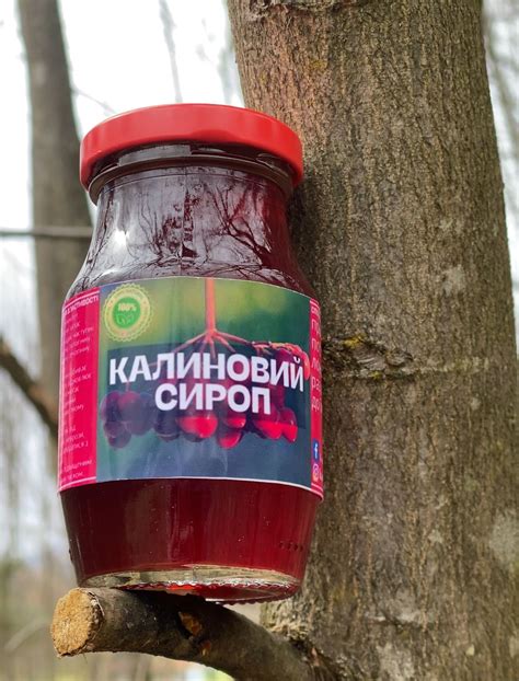 купити Сиропи