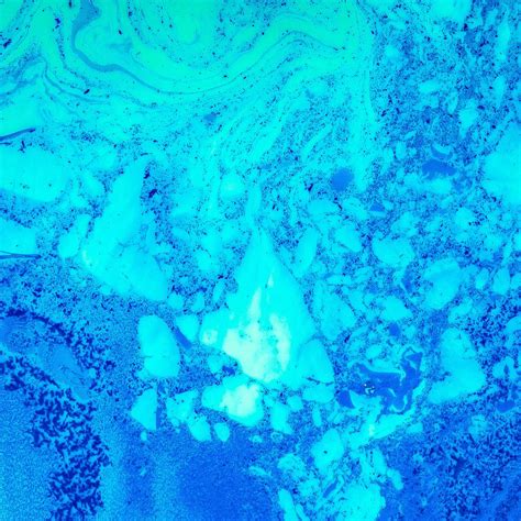 Speech Analytics Software For Contact Centers Verint Speech Analytics Software For Contact Centers Verint