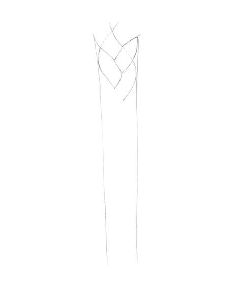 How To Draw A Braid Envato Tuts