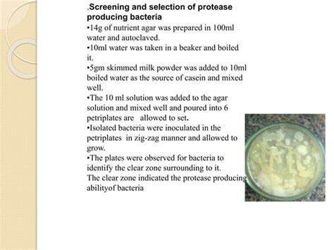 Isolation Of Protease Producing Microorganism Pptx Gardening Home