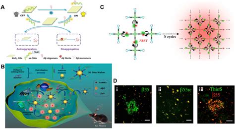 Schematic Diagram Of Fluorescence Sensor For Detecting Aβ A A