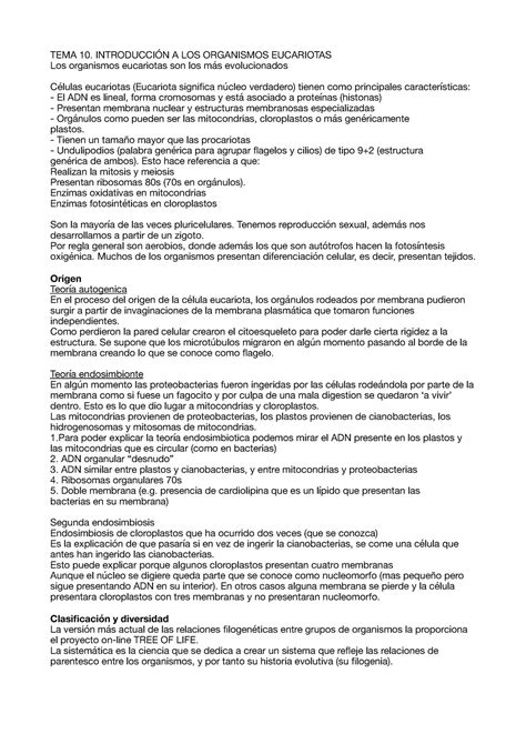 Vegetal Apuntes 10 20 Warning Error During Font Loading Xmlrequest Is Not Defined Tema