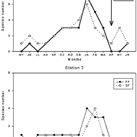 Macrophyte Richness In Both Sampling Stations At Las Flores Stream The