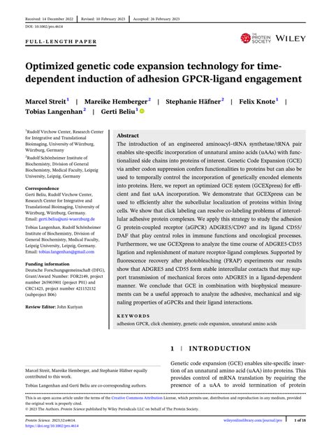 Pdf Optimized Genetic Code Expansion Technology For Time Dependent Induction Of Adhesion Gpcr