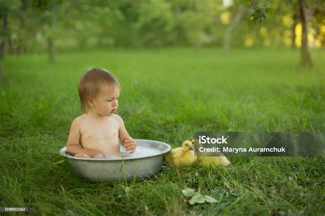 아기는 정원의 자연에서 골반에 오리와 목욕 아이는 오리를 본다 아기를 목욕시키는 부드러운 거품 아기의 섬세한 피부를 케어하십시오