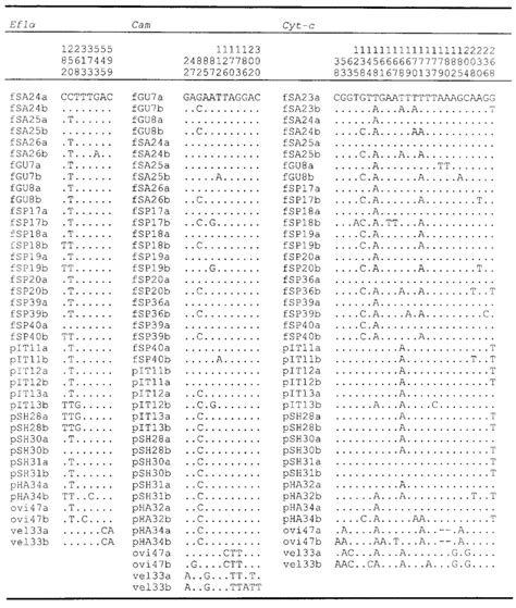Polymorphic Nucleotide Sites In Ef1 Cam And Cyt C Introns Sequence