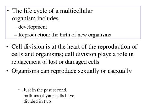 Ppt Chapter 8 The Cellular Basis Of Reproduction And Inheritance Powerpoint Presentation Id