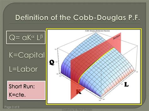 Cobb Douglas Production Function