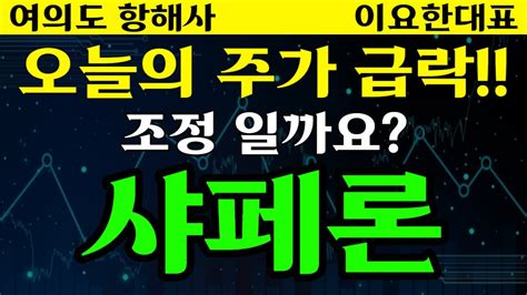 샤페론 오늘의 주가 급락 Youtube