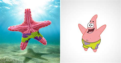 Хүүхэлдэйн киноны баатрууд бодит амьдрал дээр ямар харагдах байсан бэ Авьяаслаг артист уг